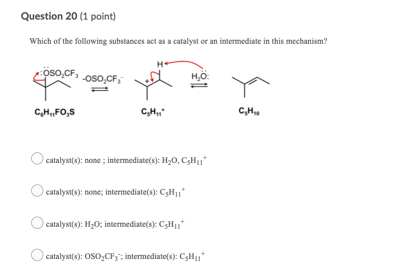 Solved Question 20 (1 point) Which of the following | Chegg.com