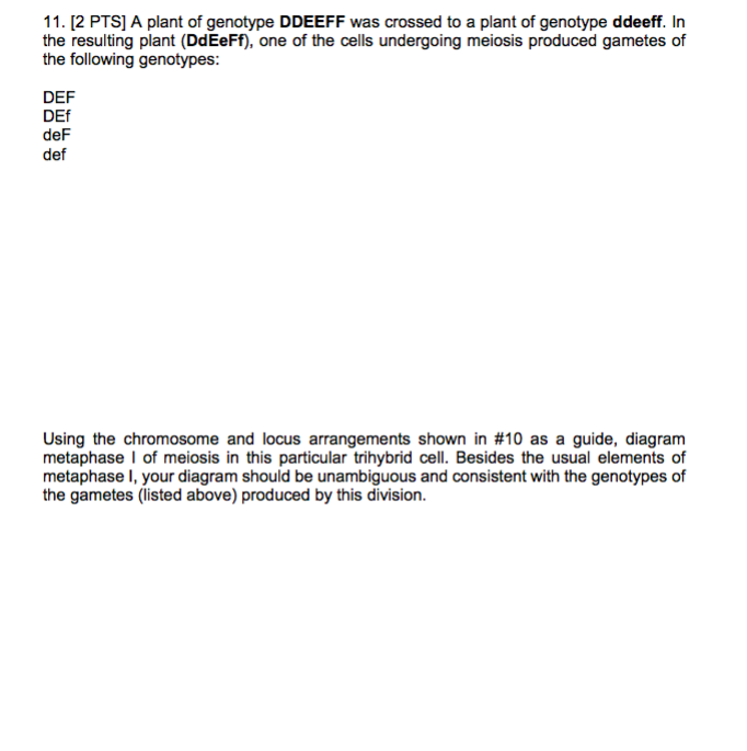 Solved 国丰F 回回 ATAI 11. (2 PTS] A plant of genotype DDEEFF | Chegg.com