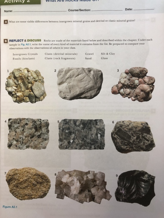 Solved WHat Are Date: Name: A What are some visible | Chegg.com