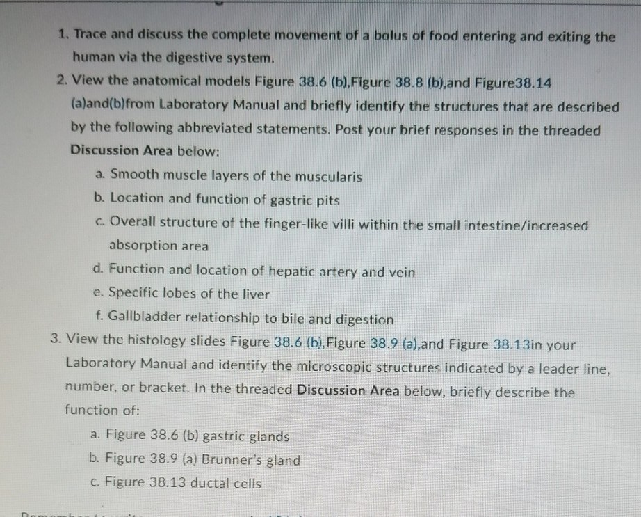 Solved Trace and discuss the complete movement of a bolus of | Chegg.com
