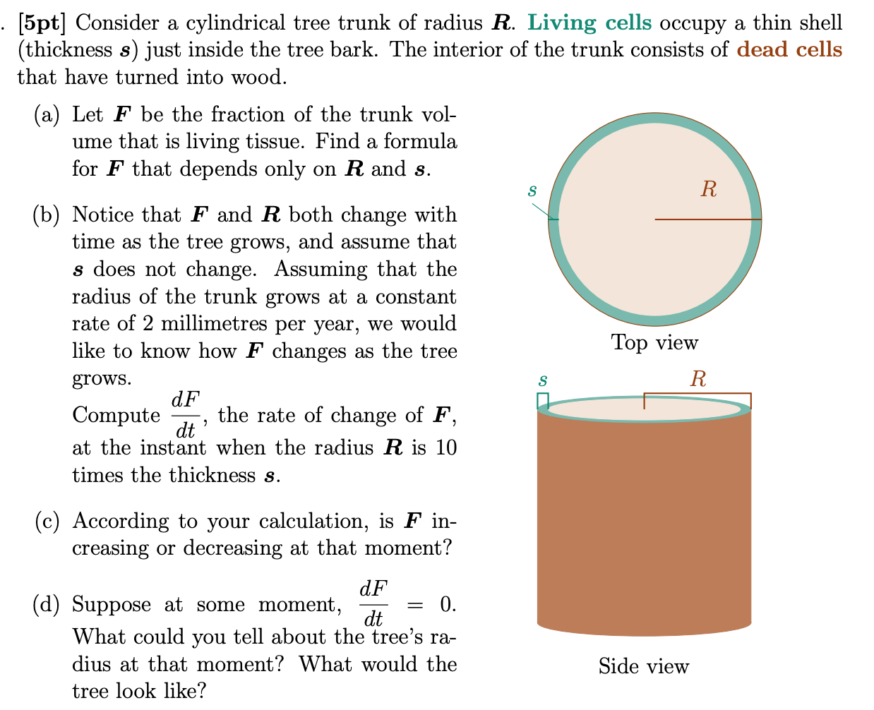 Solved . [5pt] Consider a cylindrical tree trunk of radius | Chegg.com