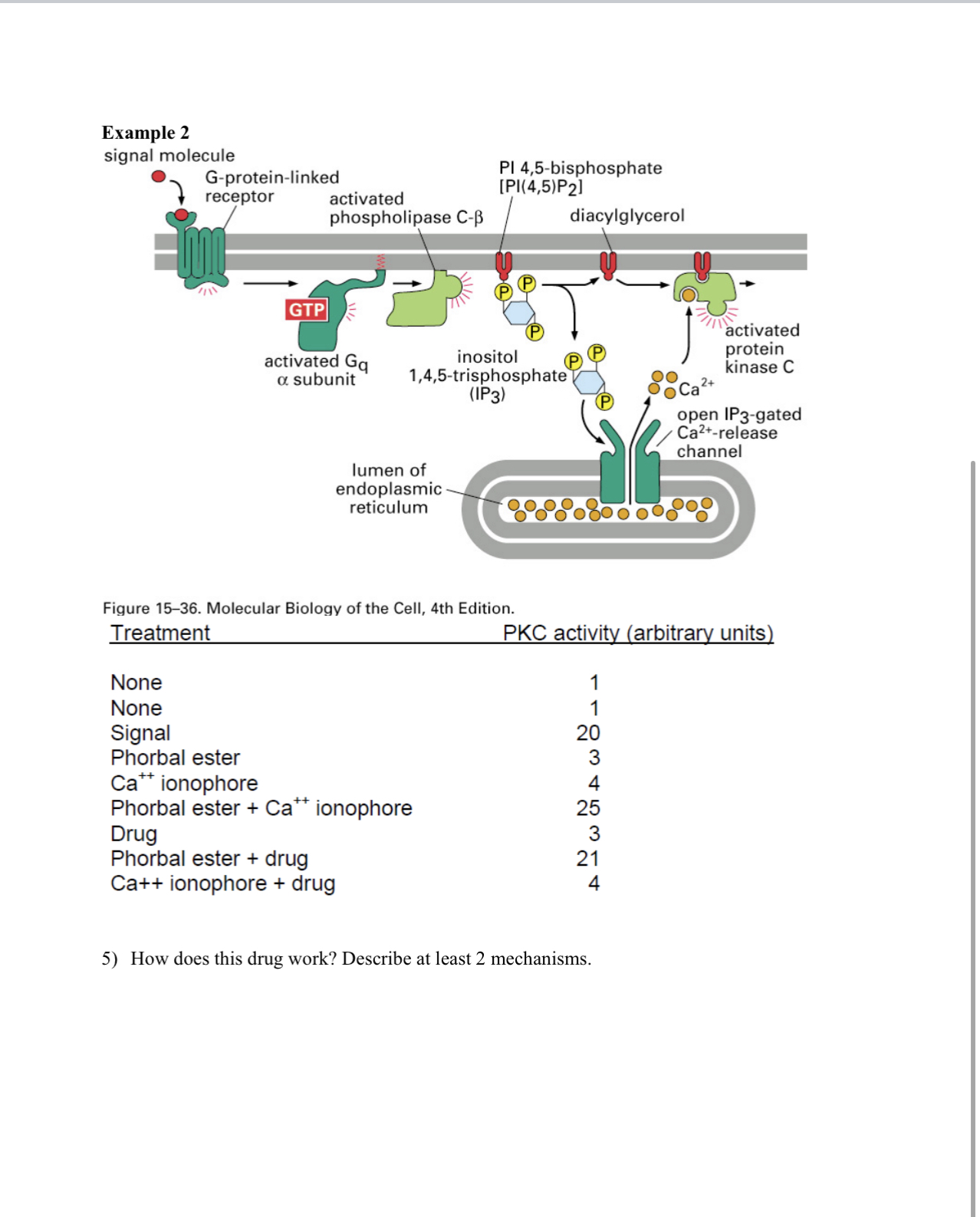 Solved Biology 172 Discussion week 8 Name Signaling Pathways | Chegg.com