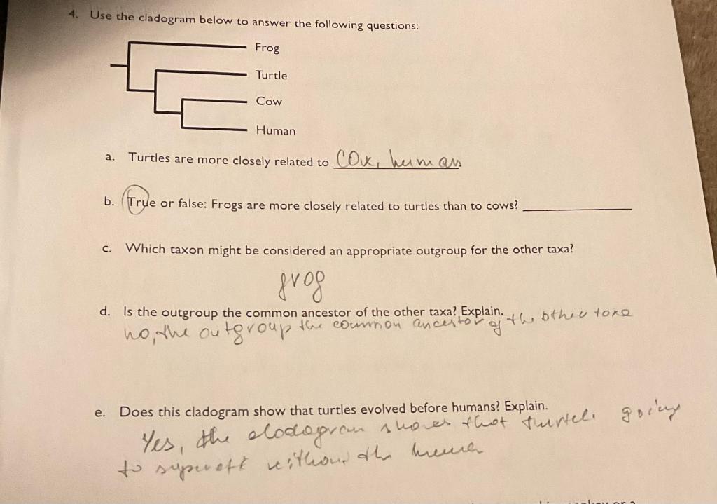 Solved 4. Use the cladogram below to answer the following | Chegg.com