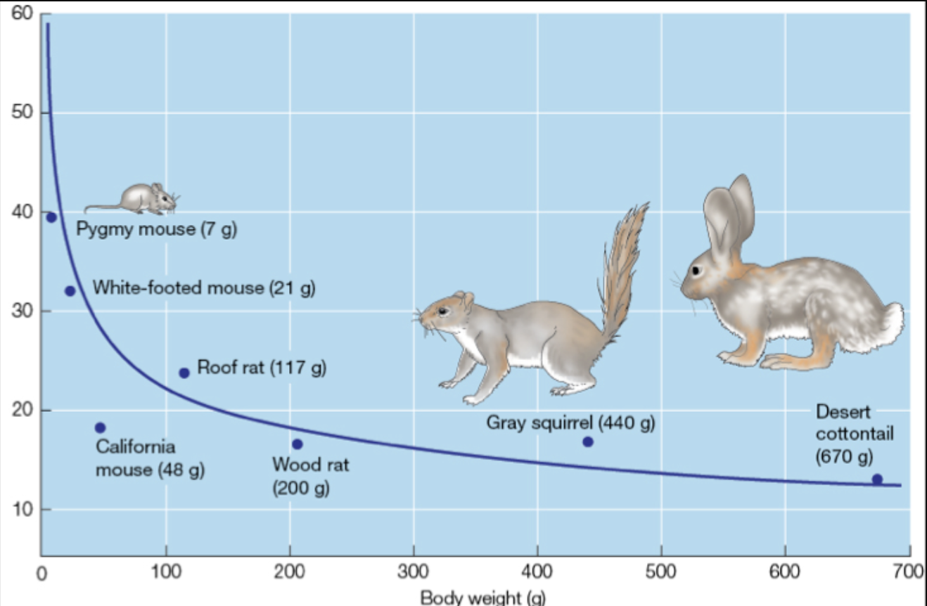 Solved b) Salmon are temperature conformers and chloride | Chegg.com