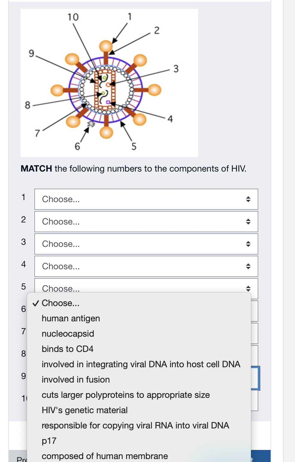 Solved MATCH the followind numbers to the comnonents of HIV | Chegg.com