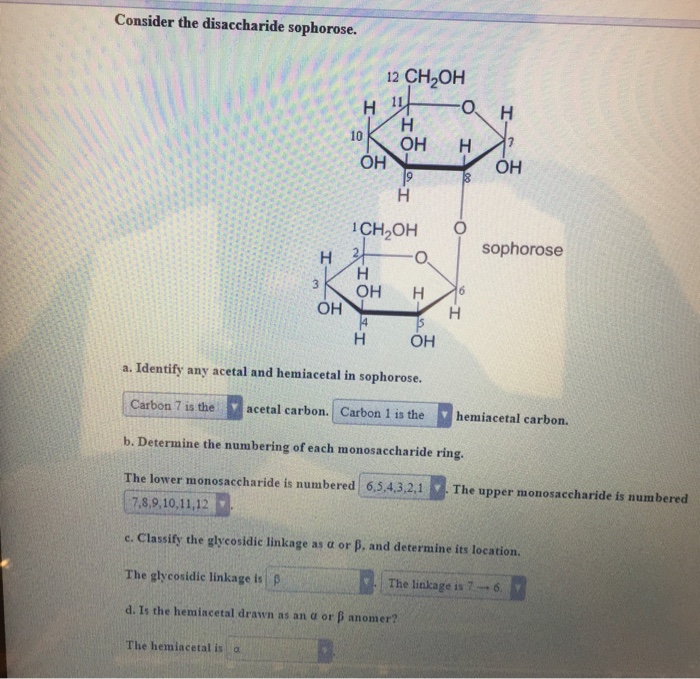Solved Consider the disaccharide sophorose. a. Identify any | Chegg.com