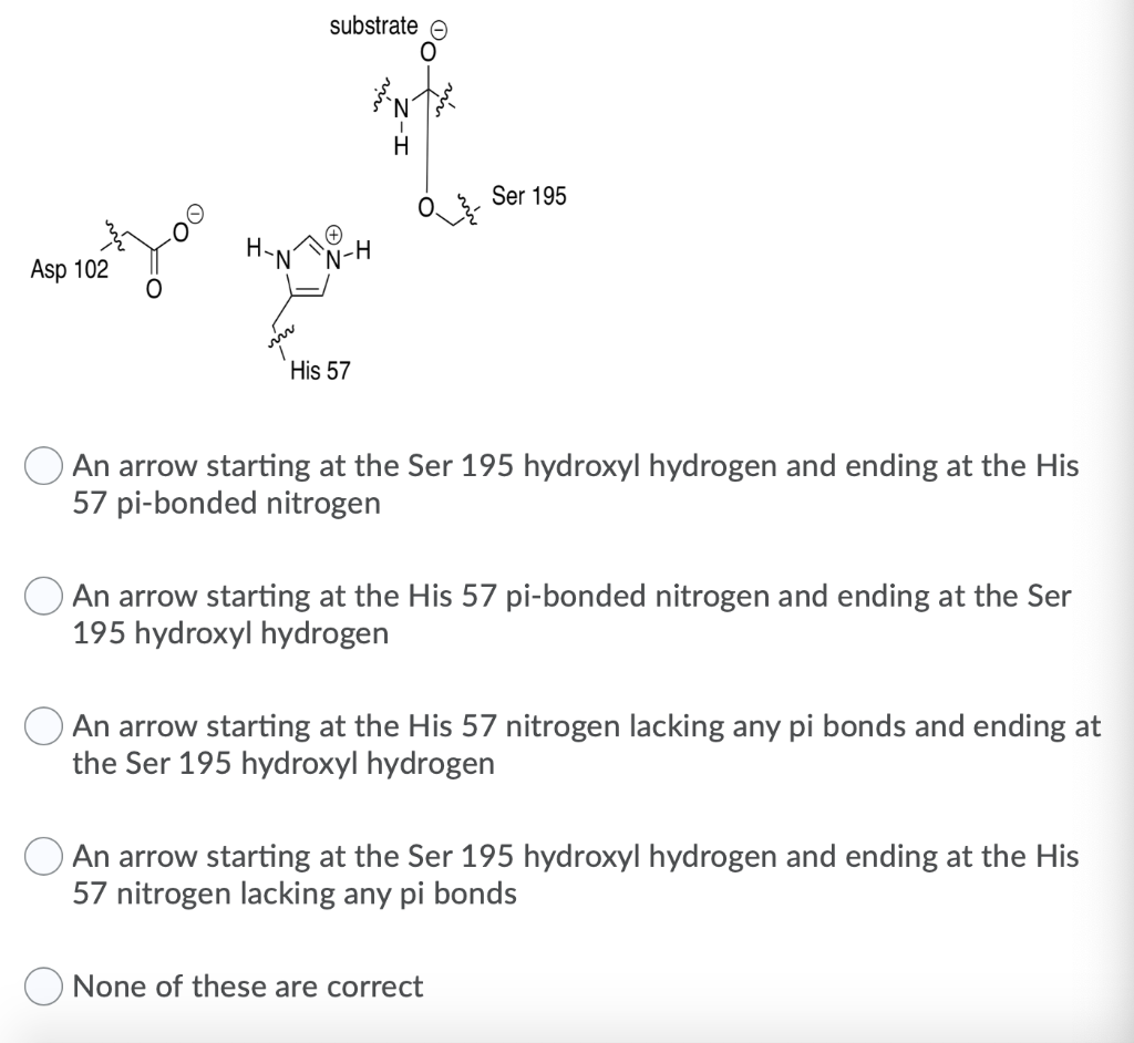 Solved Given the starting state of the trypsin | Chegg.com