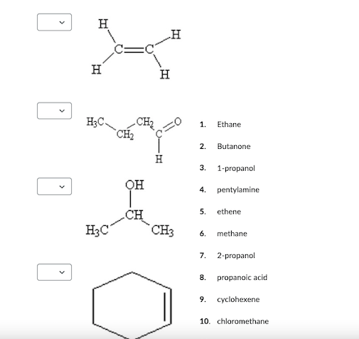 Solved 1. Ethane 2. Butanone 3. 1-propanol 4. pentylamine | Chegg.com