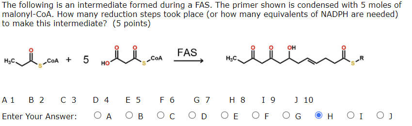 Solved The following is an intermediate formed during a FAS. | Chegg.com