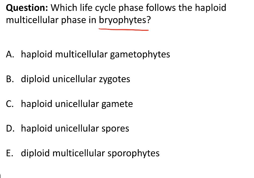 Solved Question: Which life cycle phase follows the haploid | Chegg.com