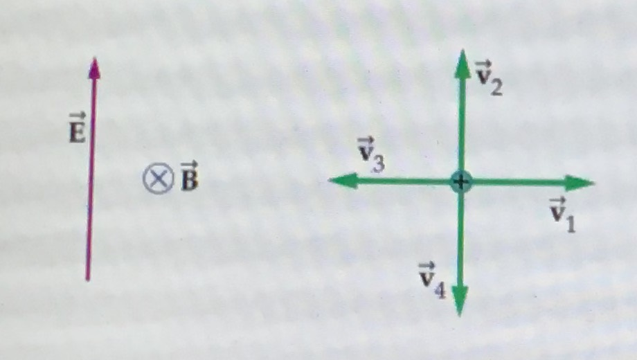 Solved A positively charged particle moves through a region | Chegg.com