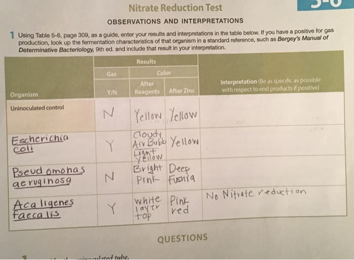 Nitrate Reduction Test OBSERVATIONS AND | Chegg.com
