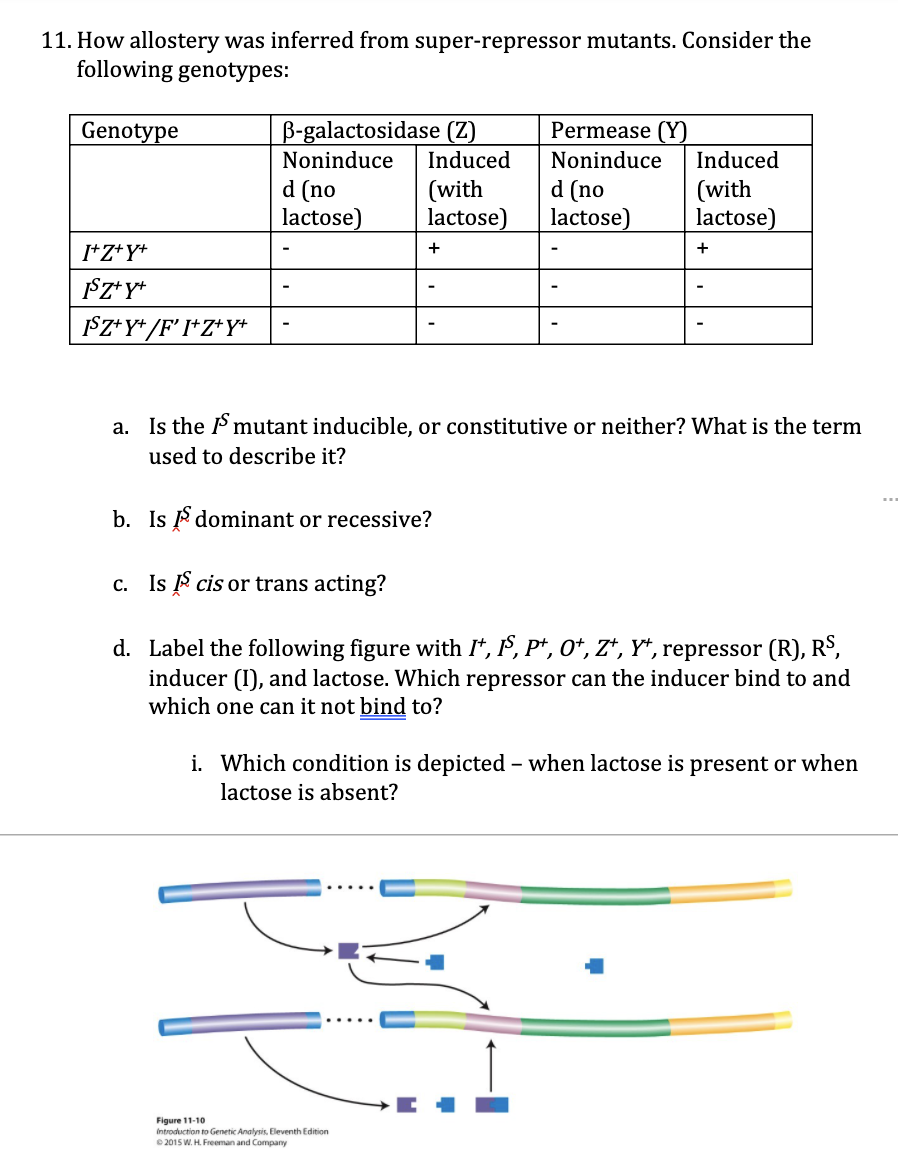 11. How allostery was inferred from super-repressor | Chegg.com