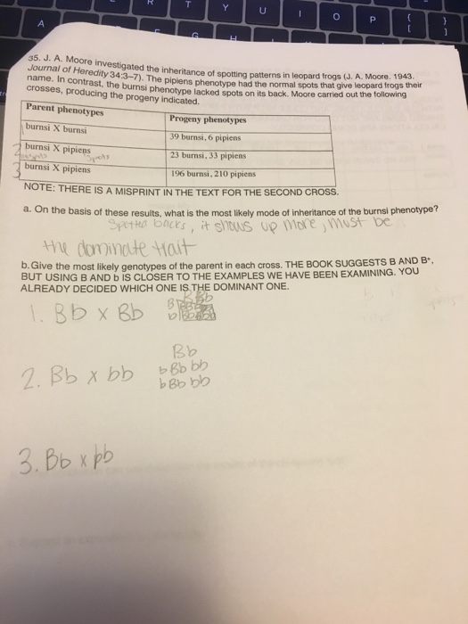 Solved 35. J. A. Moore investigated the inheritance of | Chegg.com