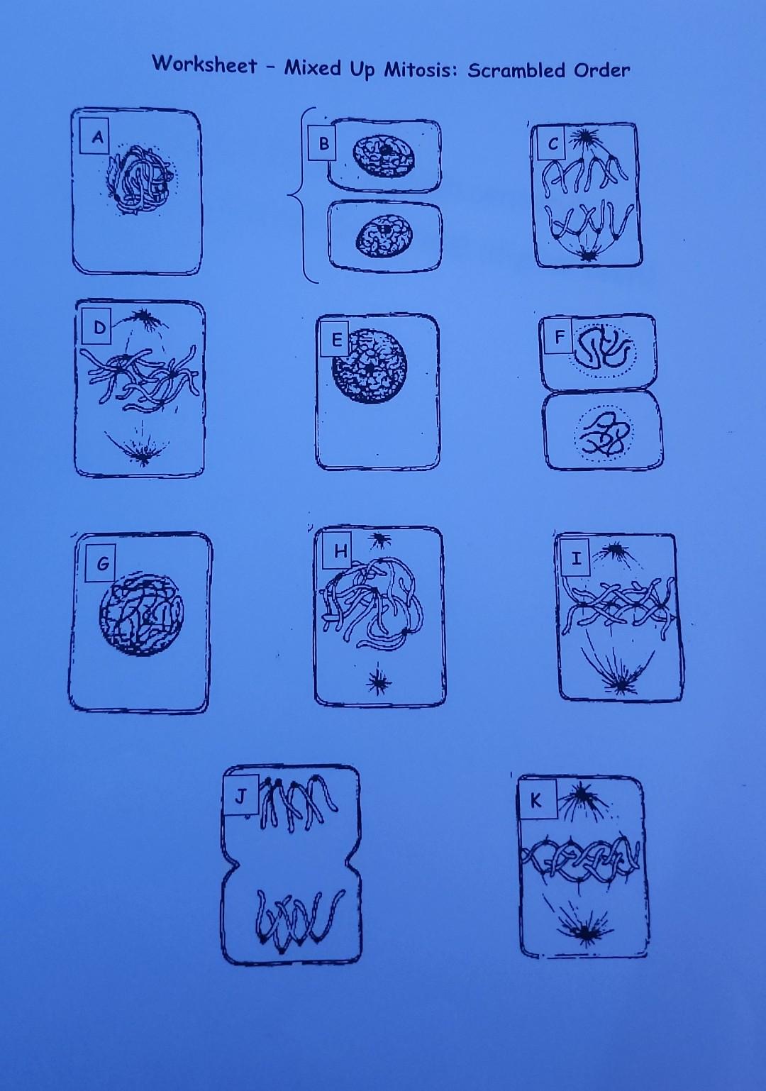 Solved 1. ﻿Label the following structures where appropriate: | Chegg.com