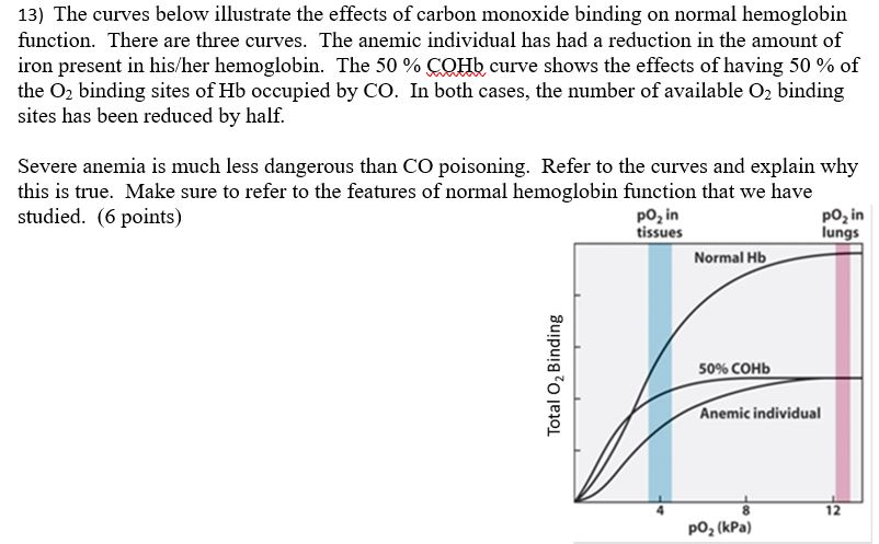 Solved I'm also not understanding why the CO curve is | Chegg.com