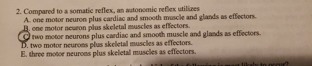 Solved A) somatic motor nerves innervate smooth muscle. B. | Chegg.com Solved A) somatic motor nerves innervate smooth muscle. B. | Chegg.com