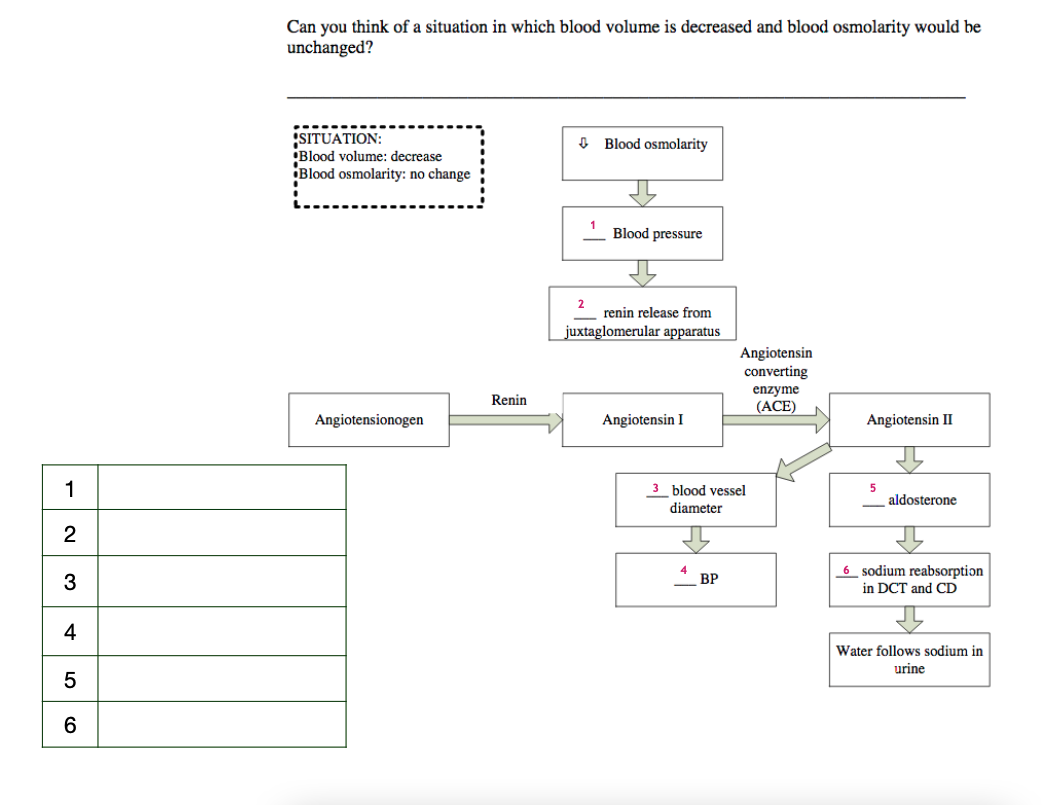 Solved Can you think of a situation in which blood volume is | Chegg.com