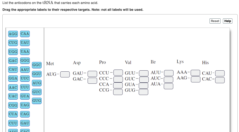Solved List the anticodons on the tRNA that carries each | Chegg.com