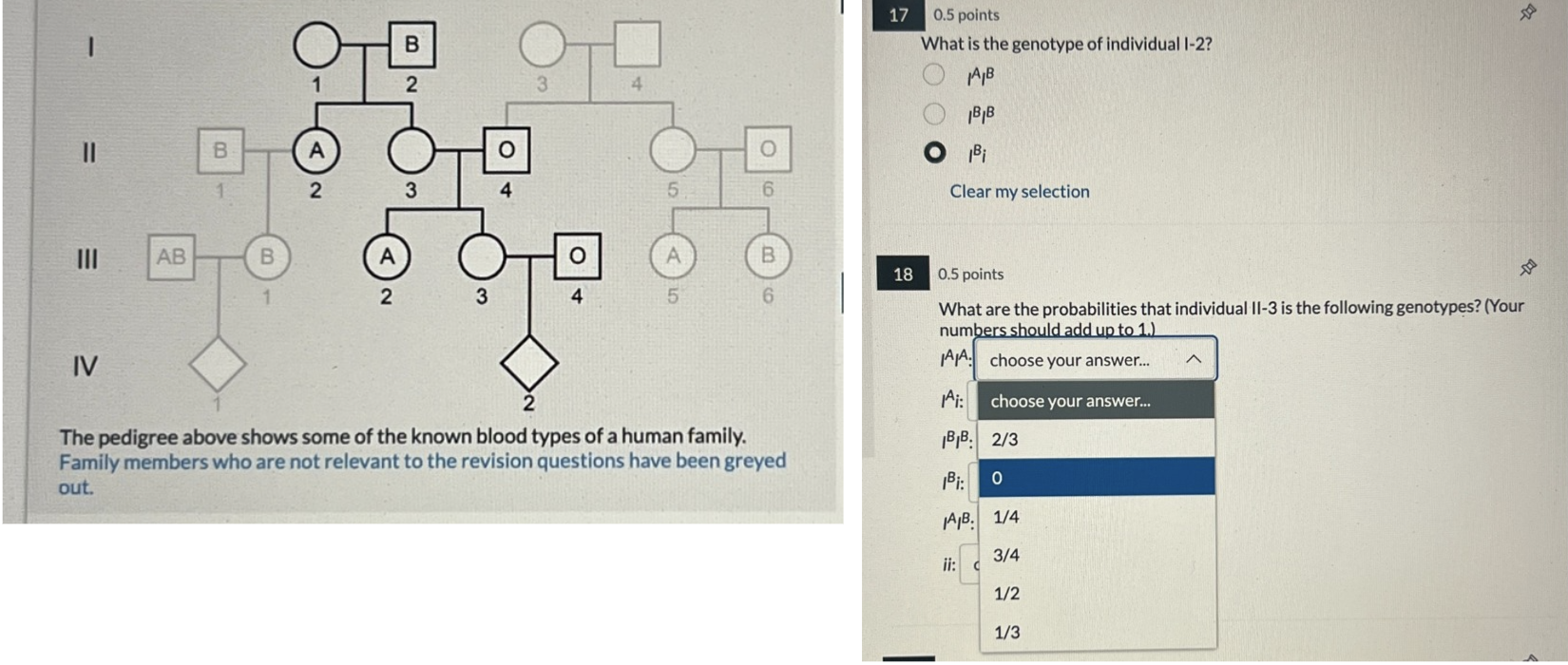 Solved What is the genotype of individual | Chegg.com