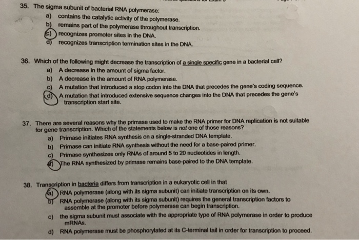 Solved 35. The sigma subunit of bacterial RNA polymerase: a) | Chegg.com
