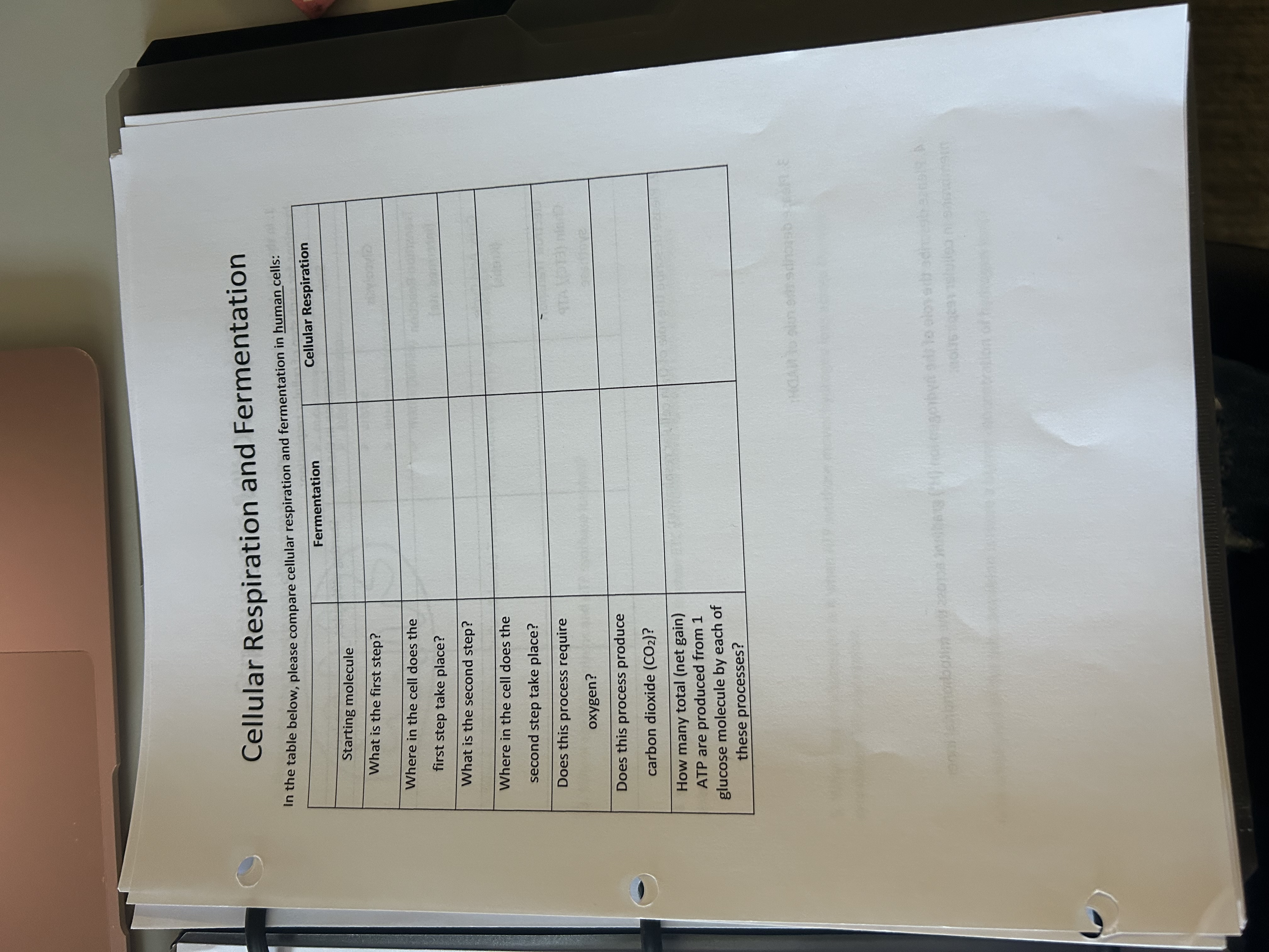 Solved Cellular Respiration and FermentationIn the table | Chegg.com