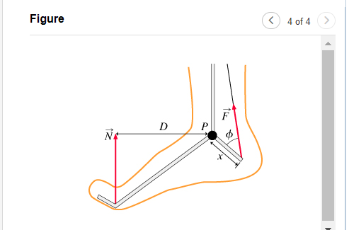 Solved Review Learning Goal: To understand the two most | Chegg.com