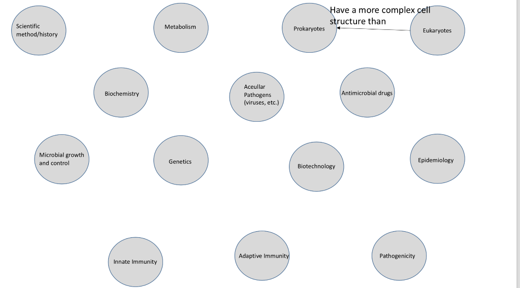 Solved Concept Map Assignment Each node (circle/topic) | Chegg.com