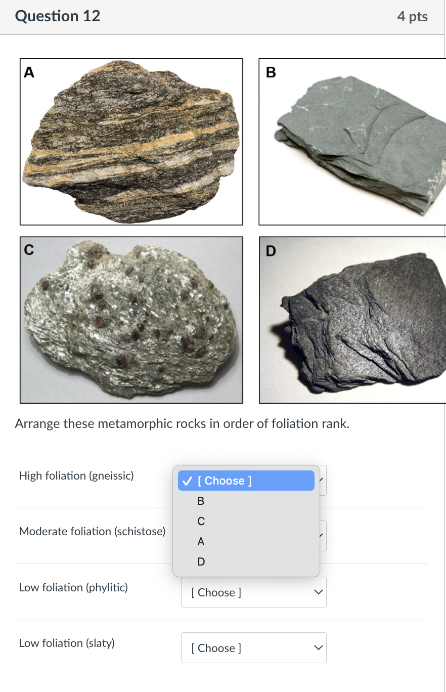Solved Question 12 4 pts A B Arrange these metamorphic rocks | Chegg.com
