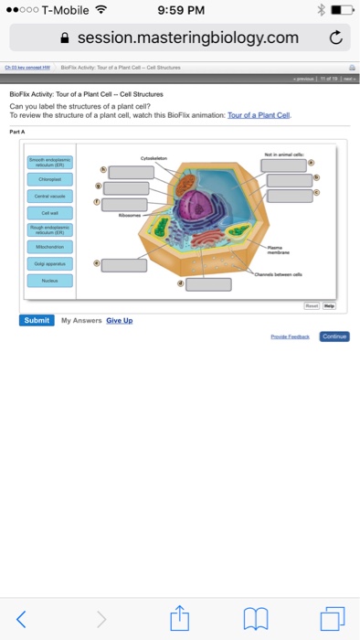 Biology Archive October 06 2017 Chegg