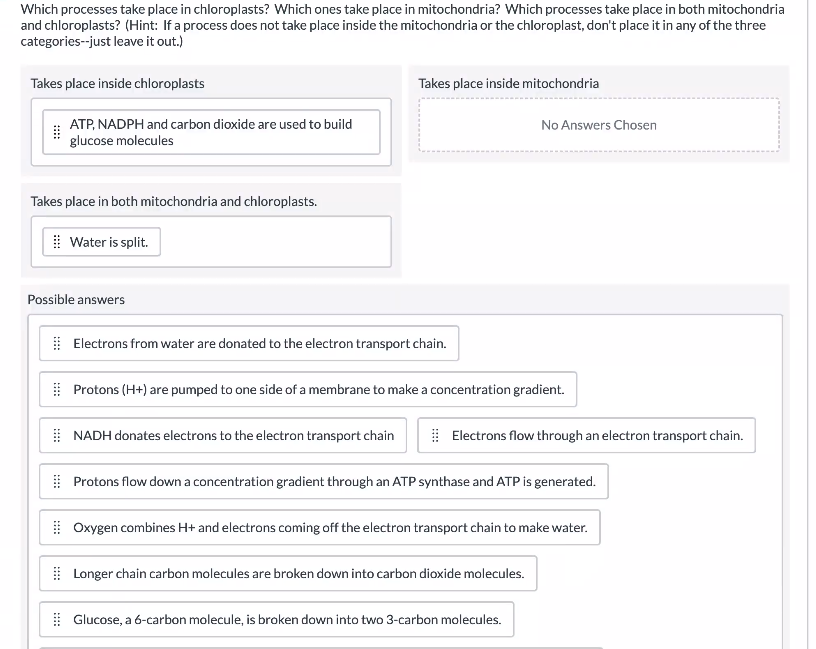 Solved Which processes take place in chloroplasts? Which | Chegg.com