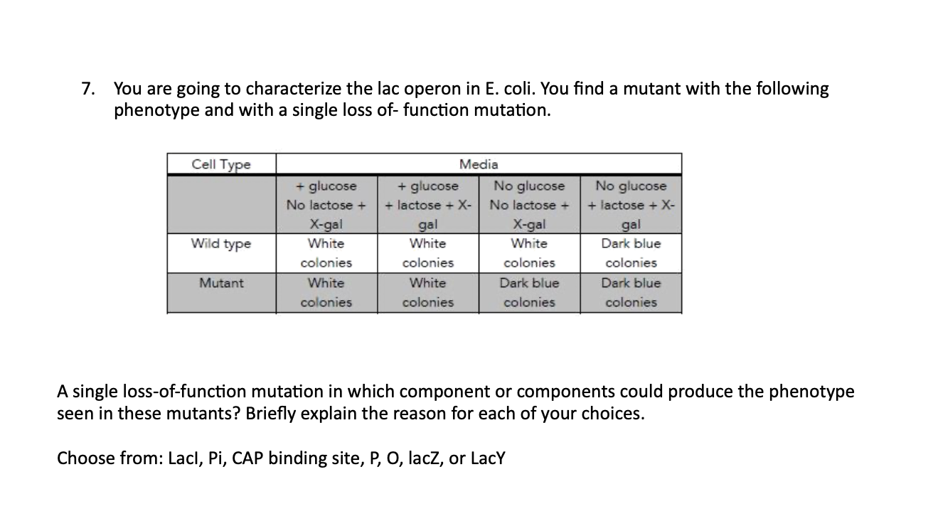 Solved 7. You are going to characterize the lac operon in E. | Chegg.com