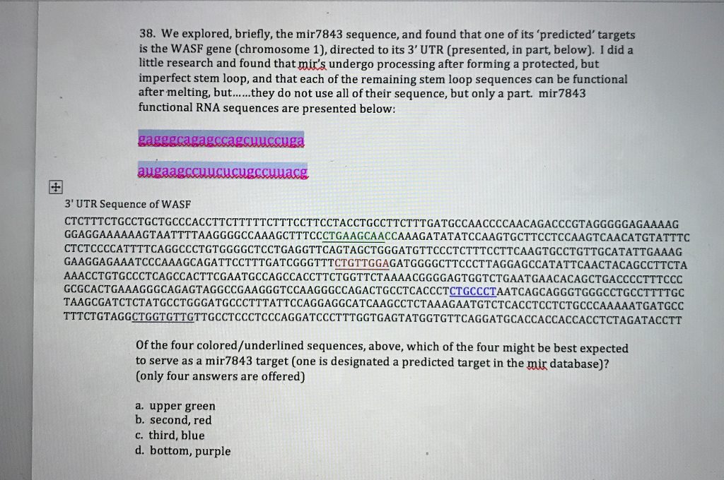 Solved 38. We explored, briefly, the mir7843 sequence, and | Chegg.com