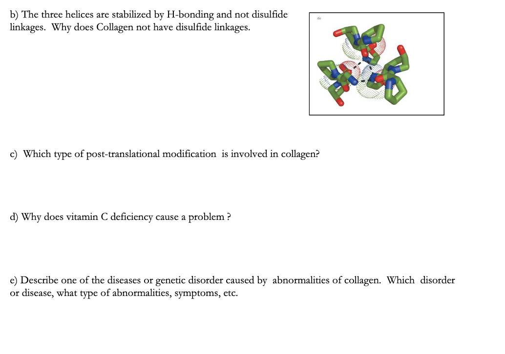 Solved b) The three helices are stabilized by H-bonding and | Chegg.com