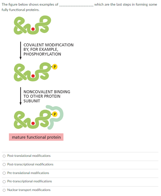 Solved The figure below shows examples of which are the last | Chegg.com