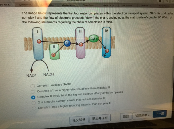 Solved 6-Ch. 1 The image below represents the first four | Chegg.com