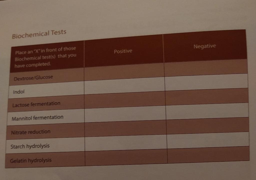 Solved Biochemical Tests Negative Positive Place an "X"in | Chegg.com