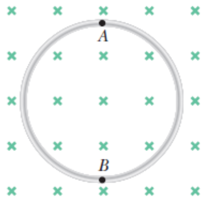 Solved The flexible loop in the figure below has a radius of | Chegg.com