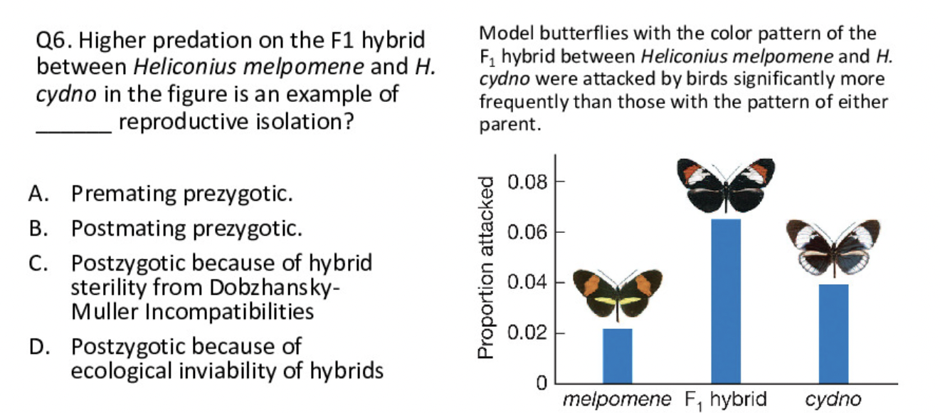 Solved Q6. ﻿Higher predation on the F1 ﻿hybridbetween | Chegg.com