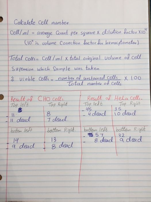 Caulate Cell number CellI mlavernge Count per square | Chegg.com