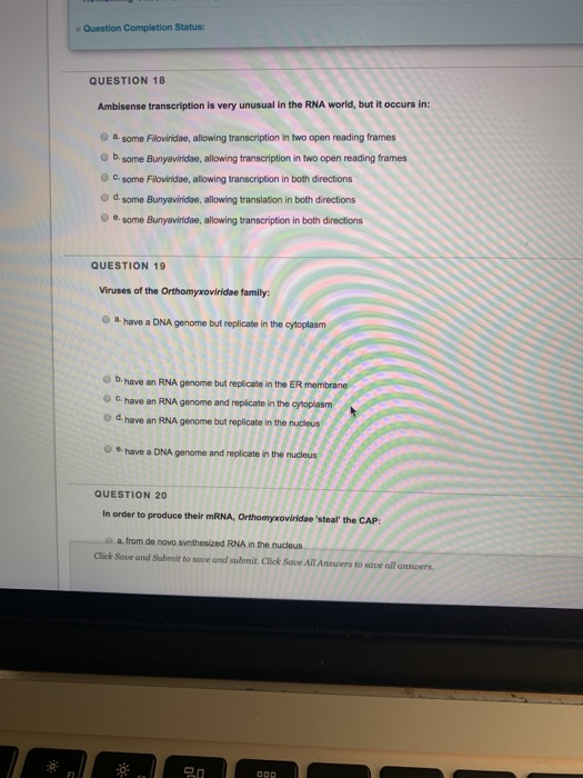 Solved Question Completion Status: QUESTION 18 Ambisense | Chegg.com