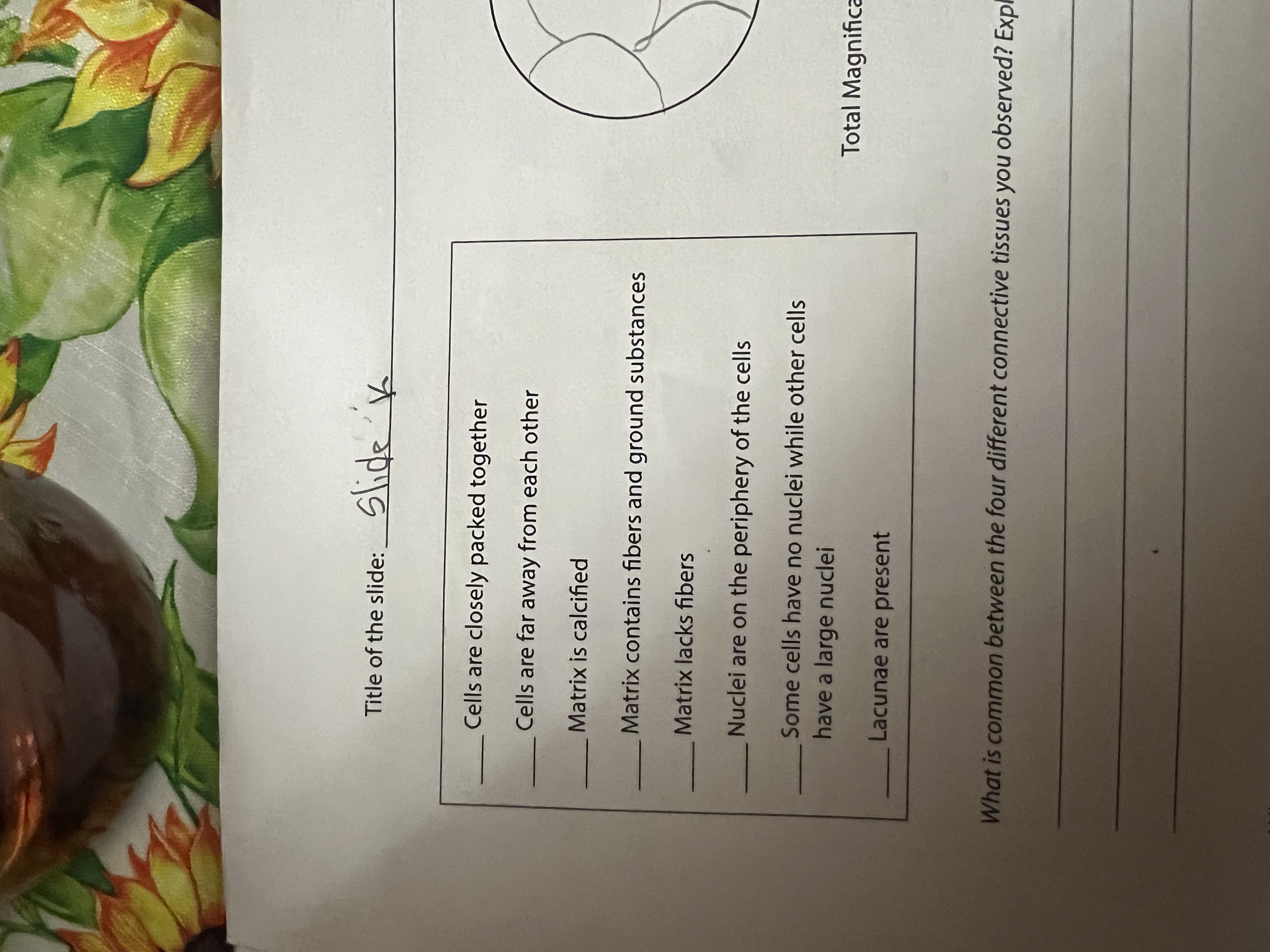 Solved Title of the slide: slide k Cells are closely packed | Chegg.com