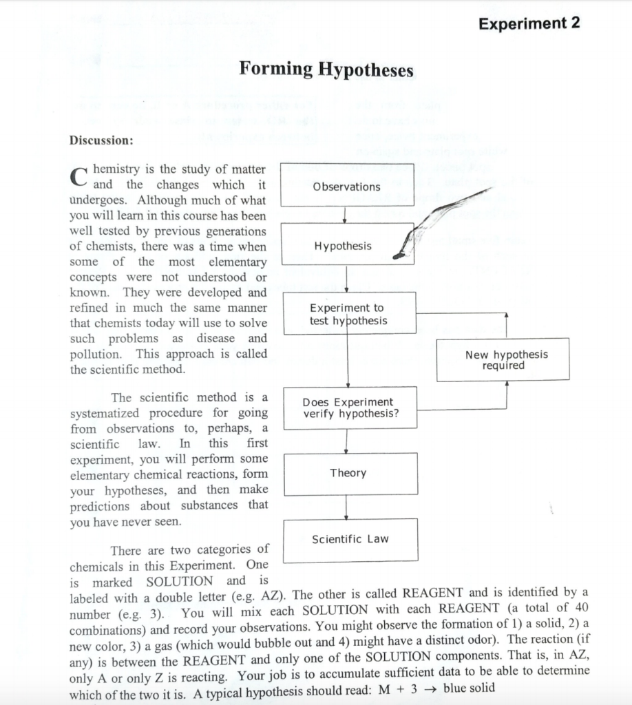 Experiment 2 Forming Hypotheses Discussion: Chemistry | Chegg.com