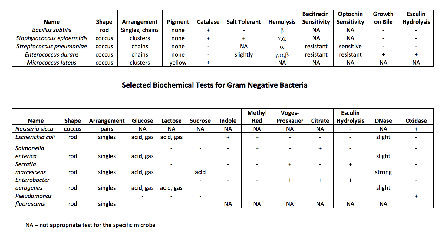 Solved Mixed Unknown Identification Form Unknown 'Patient | Chegg.com