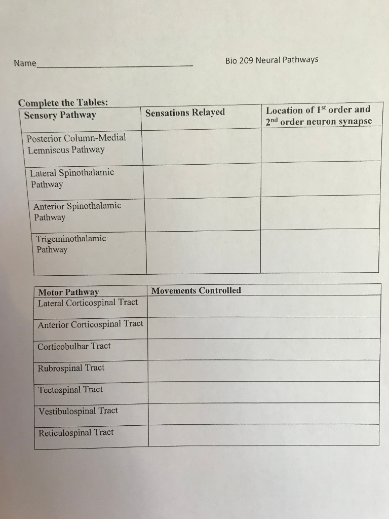 Solved Name Bio 209 Neural Pathways Complete the Tables: | Chegg.com