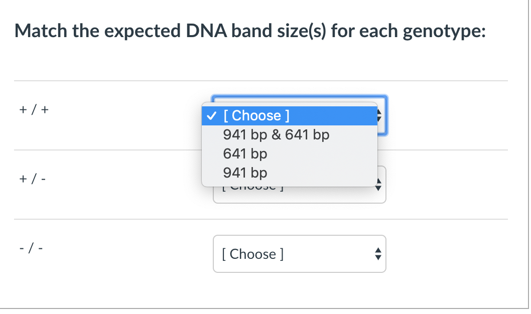 Match the expected DNA band size(s) for each | Chegg.com