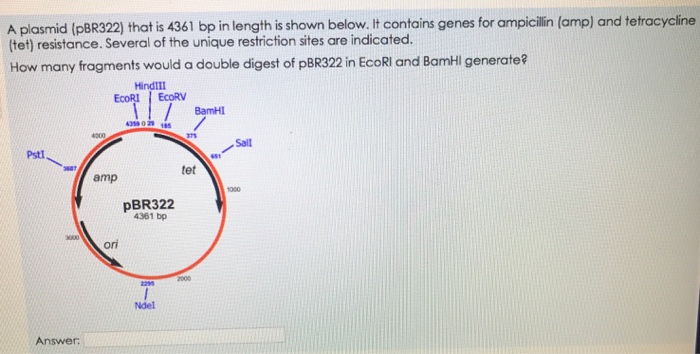 Solved A plasmid (pBR322) that is 4361 bp ir length is shown | Chegg.com