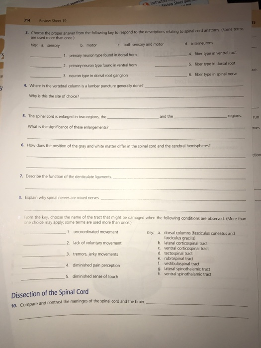 Solved 314 Review Sheet 19 (Some terms 3. Choose the proper | Chegg.com