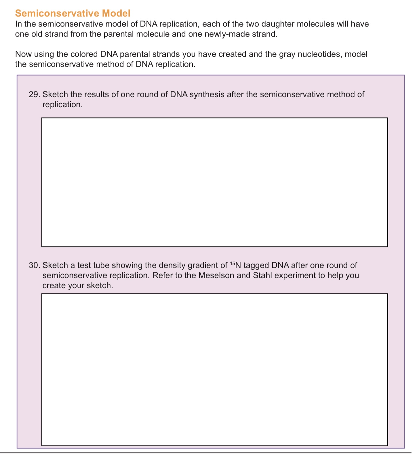 Semiconservative ModelIn the semiconservative model | Chegg.com