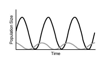 Solved Wh a) Draw 3 vertical lines on the line graph to | Chegg.com